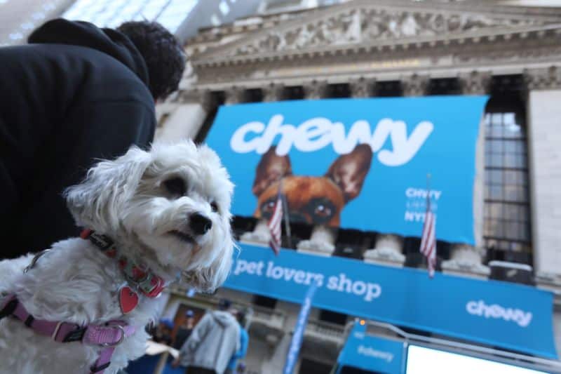 Equities Analysts Cut Earnings Estimates for Chewy Inc (NYSE:CHWY) - Biotech Today