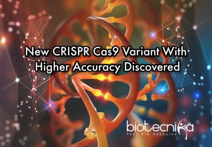 New Cas9 Variant To Increase Efficiency Of CRISPR - Biotech Today