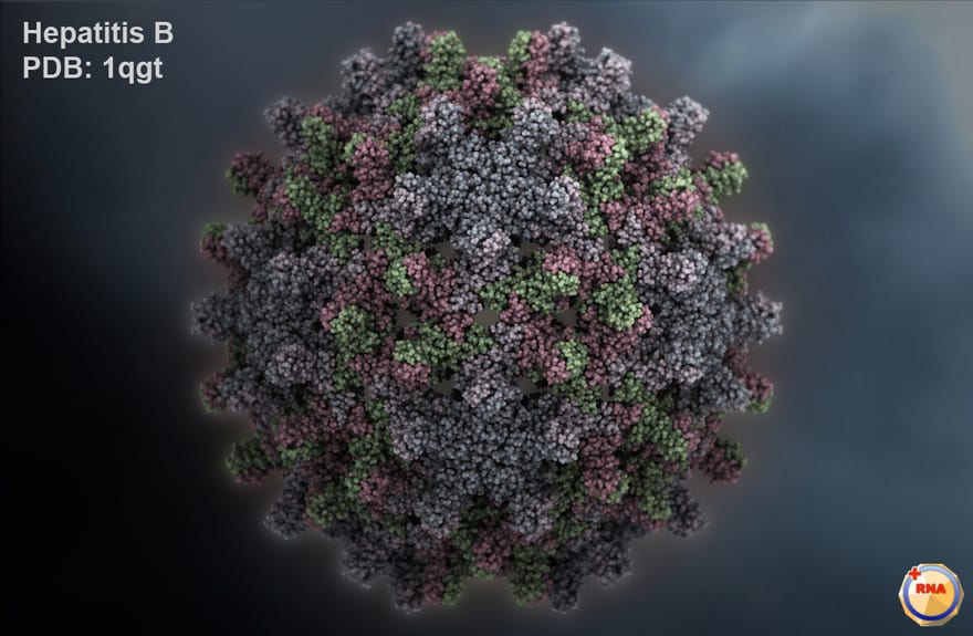 Vir's Hep B drug, poised for combo trials, shows promise in phase 2 ...