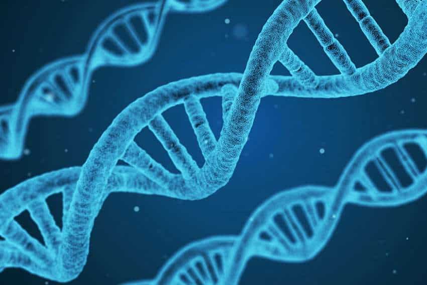 Legend Biotech Aims for $100 Million IPO - Biotech Today