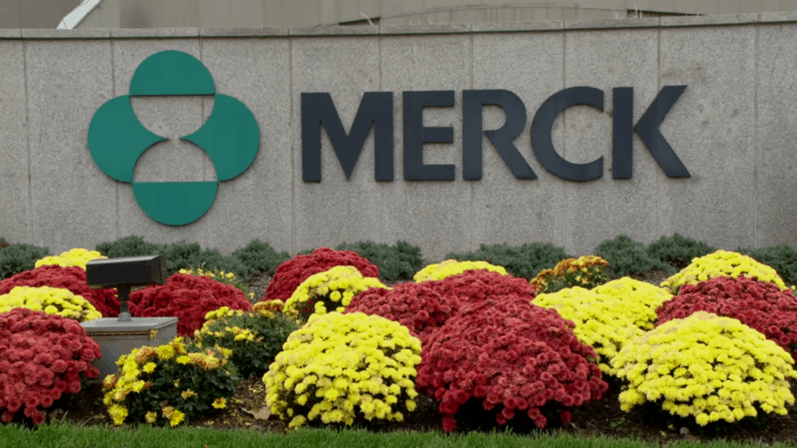 Merck's oral cancer drug targeting STING boosts PD-1 immune blockade in ...