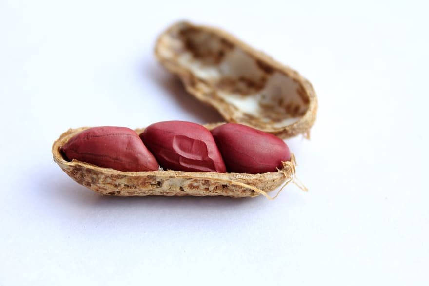 FDA turns back DBV Technologies’ peanut allergy patch, raising ...