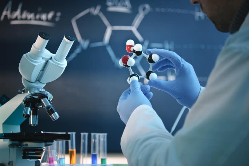 Cogent Biosciences Appoints Andrew Robbins as Chief Executive Officer ...