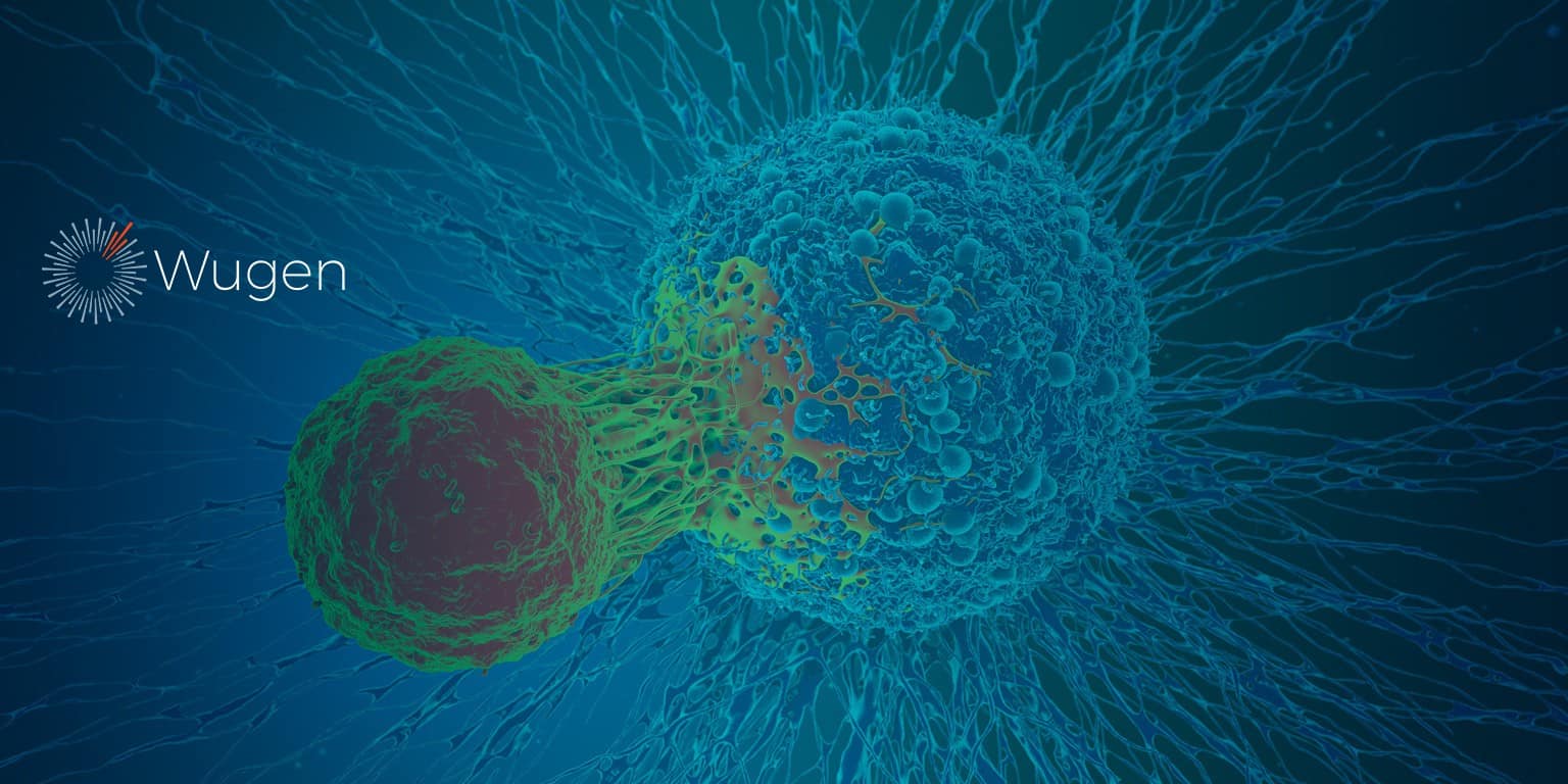 Wugen Appoints New Vice President and Head of NK Research as the ...