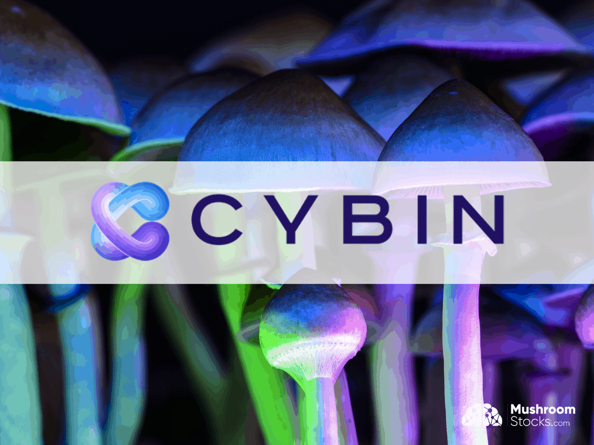 Cybin Announces First Quarter Financial Results of Clarmin Explorations ...