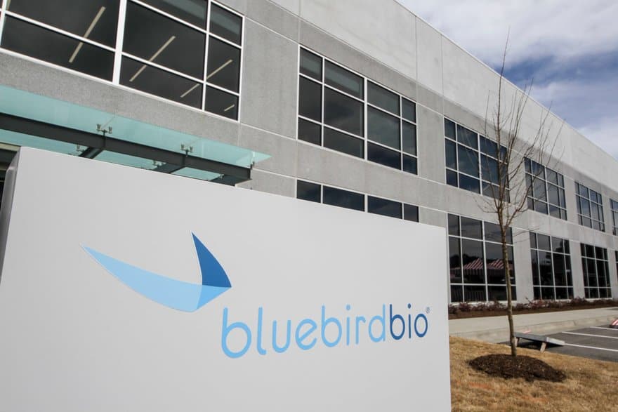 Bluebird bio CMO quits amid a roller coaster year and upcoming split ...