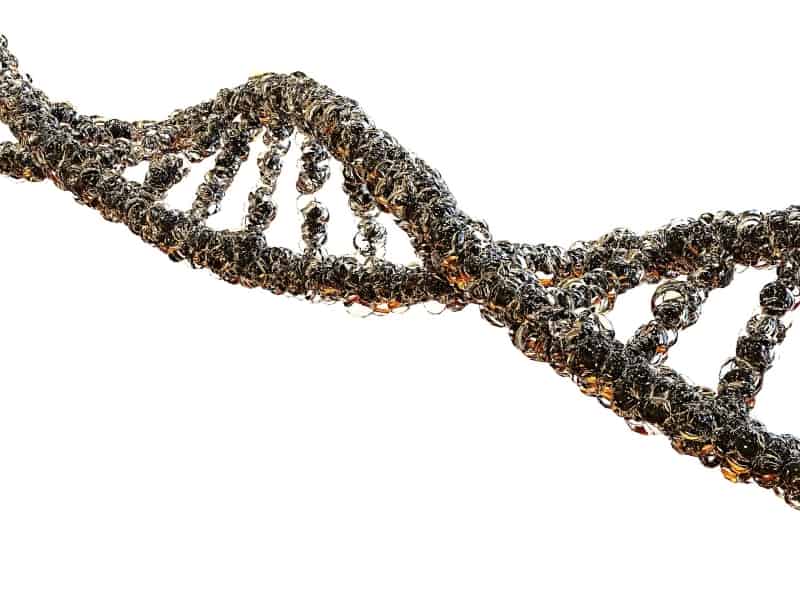 Senti Bio's gene circuit CAR-NK cell therapy enhances cancer killing ...