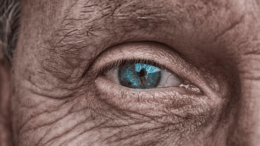 Dry AMD treatment developer LumiThera nets retinal diagnostic maker ...