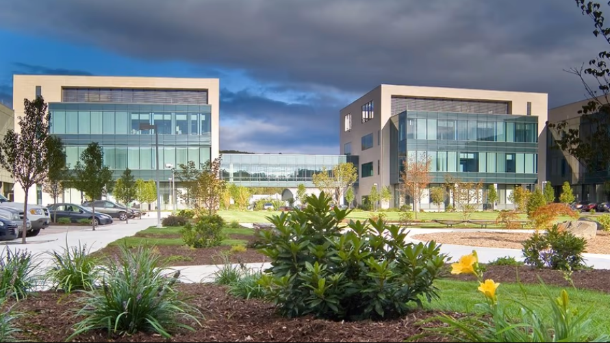 Hunting for next big eye disease drug, Regeneron gets deeper into gene ...