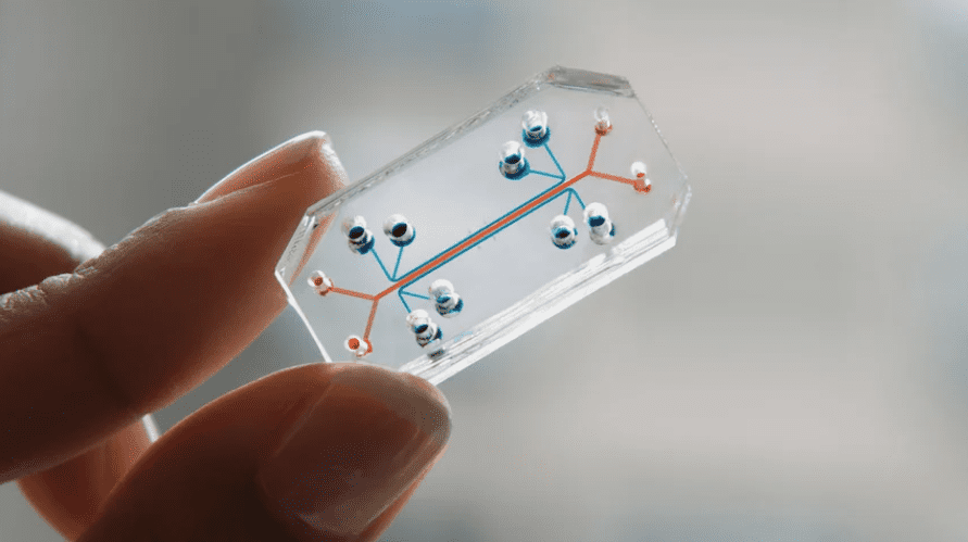 Emulate upgrades intestinal organ-on-a-chip for exploring inflammatory ...