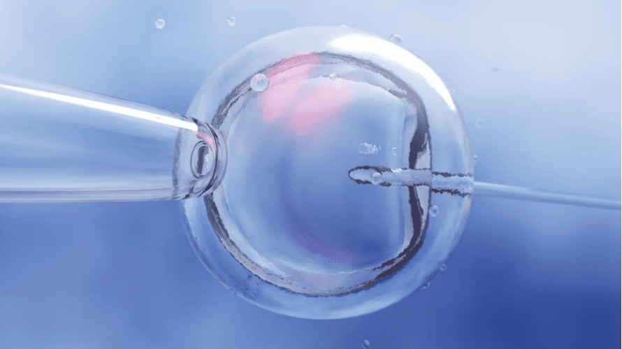 Fujifilm picks up AI program for guiding IVF procedures - Biotech Today