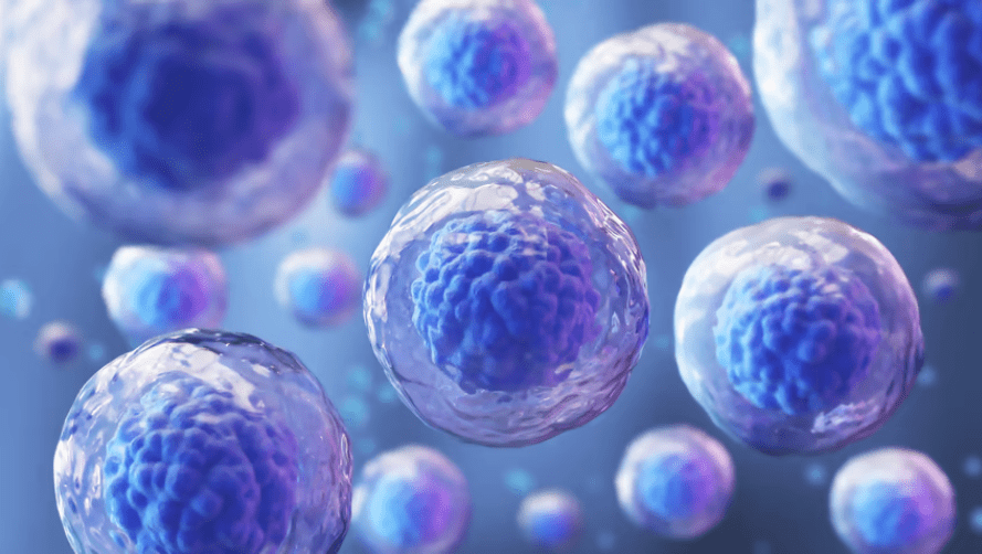 Vertex absorbs ViaCyte and its stem cell-based diabetes treatment for ...