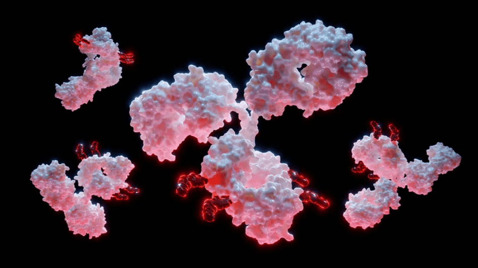 Synaffix rustles up another ADC deal, allying with Emergence in $360M ...