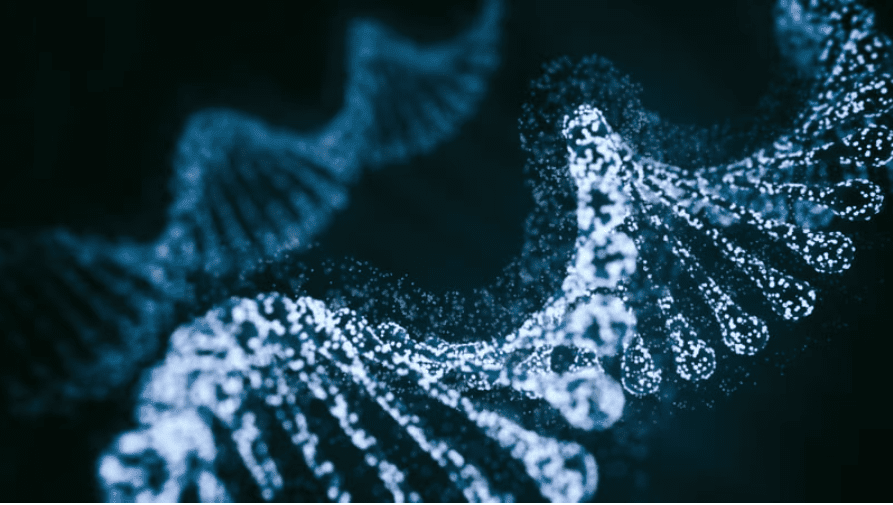 Don't junk DNA as study shows new role in brain disease - Biotech Today