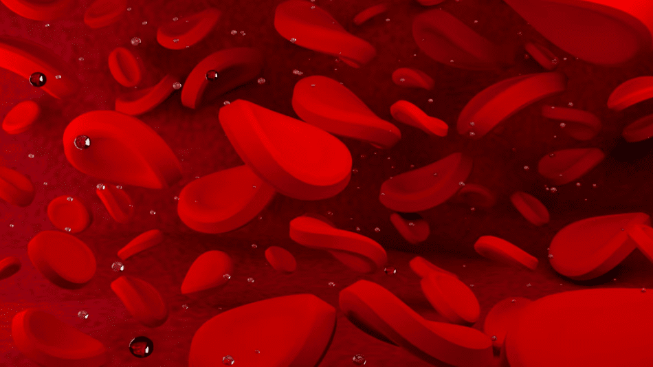 AstraZeneca's Alexion bet continues to pay off as danicopan improves ...