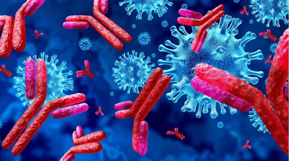 Arch-backed HI-Bio launches with 2 clinical-stage therapies from ...