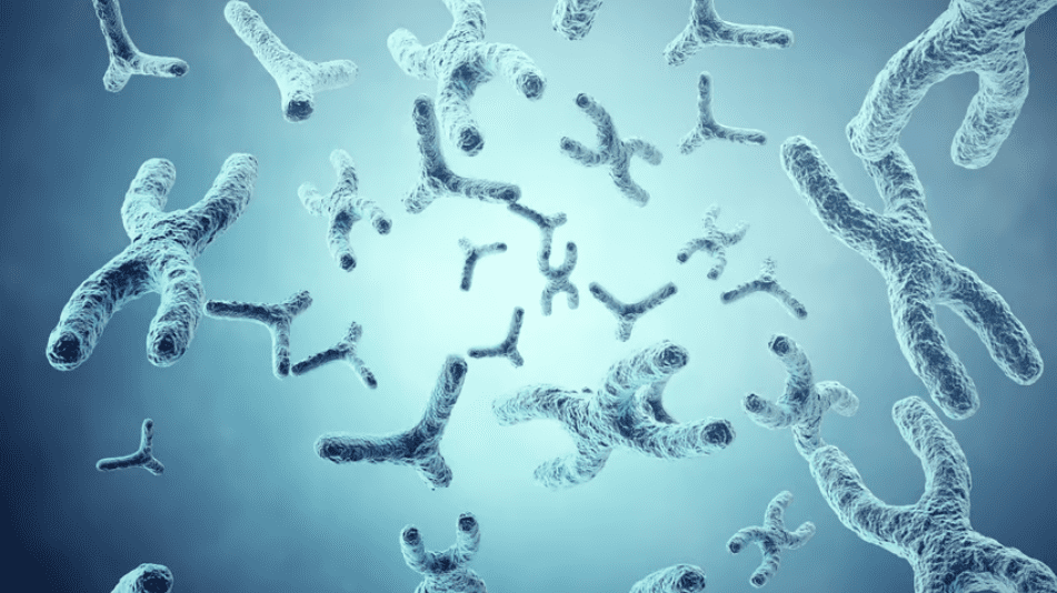 Making melanoma cells immortal comes down to previously unknown gene ...