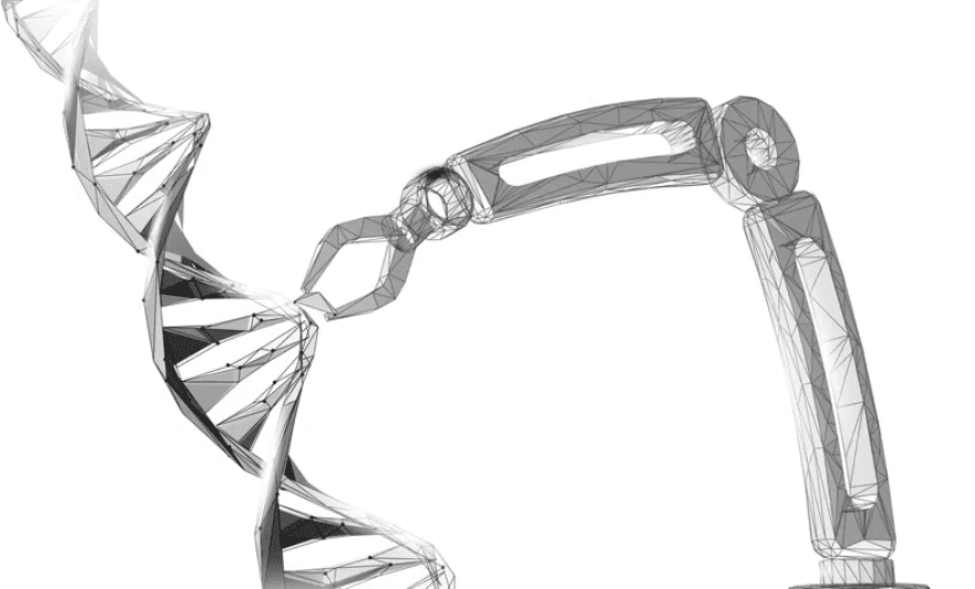 Intellia is ready to talk 'functional cure' for HAE with interim data ...