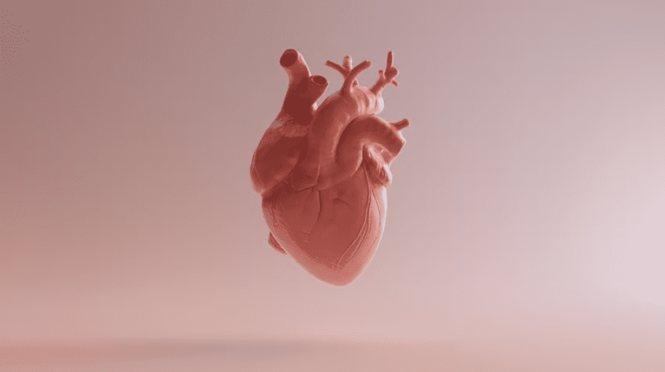 Cardiosense lands $15M for AI to predict worsening heart failure from ...