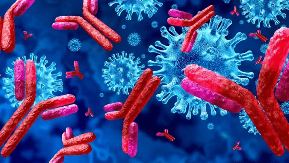 AbbVie inks Immunome solid tumor deal that could top $2.8B in biobucks ...