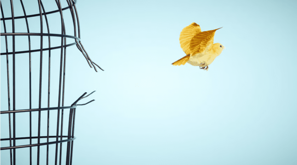 Bluebird's adolescent sickle cell ambitions are back in flight after ...