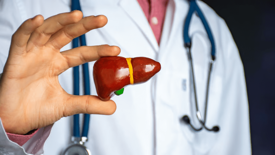 Baxter links up with Miromatrix to test bioengineered liver replacement ...