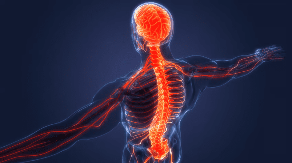 Axonics clears FDA to bring latest version of 20-year neurostim implant ...