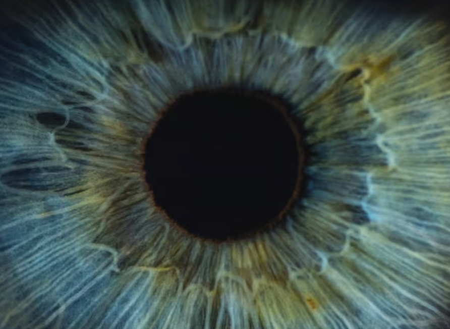 Nanoscope's phase 2 win for gene therapy shows potential of light ...