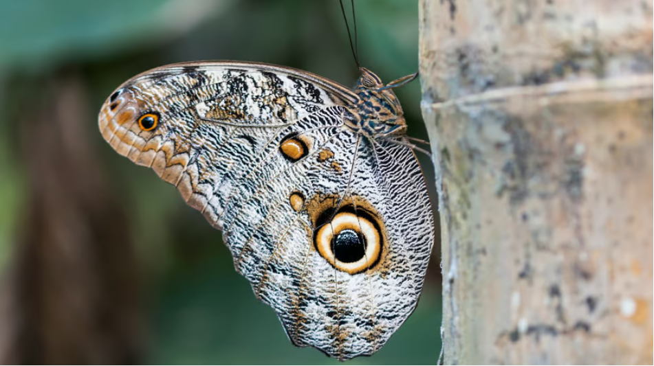 Flagship launches Metaphore with $50M to mimic the molecular version of ...