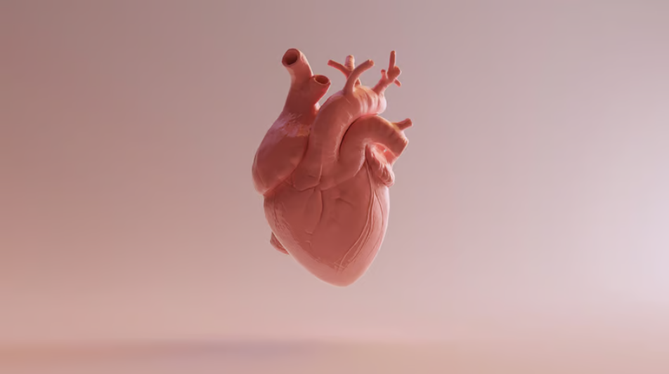 Boston Scientific claims FDA approval for latest Watchman heart plug ...