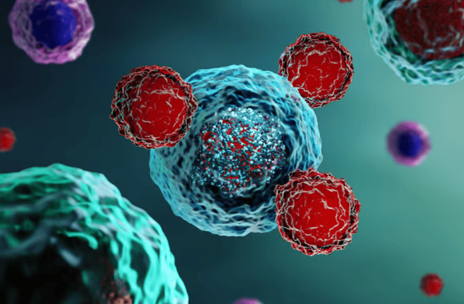 AbbVie and Calico immunotherapy boosts PD-1 response and tackles T cell ...