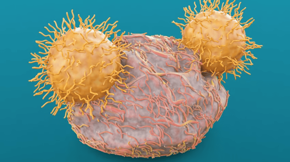 Novartis pays Legend $100M upfront to give solid tumor CAR-T the T ...