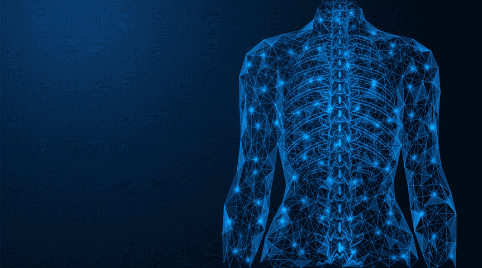 Spinal cord stimulation improves sensory link to prosthetic feet, cuts ...