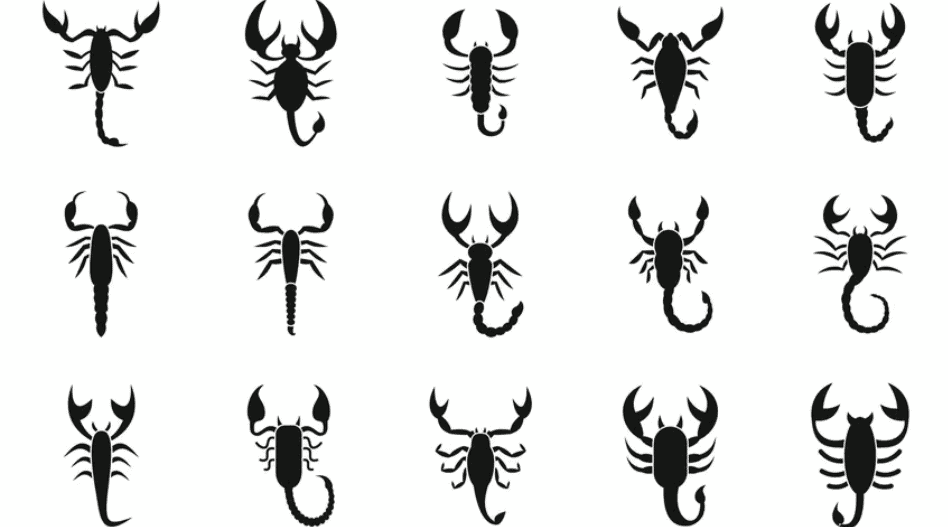 Scorpion’s CEO Axel Hoos, CMO bite the dust as oncology biotech brings ...