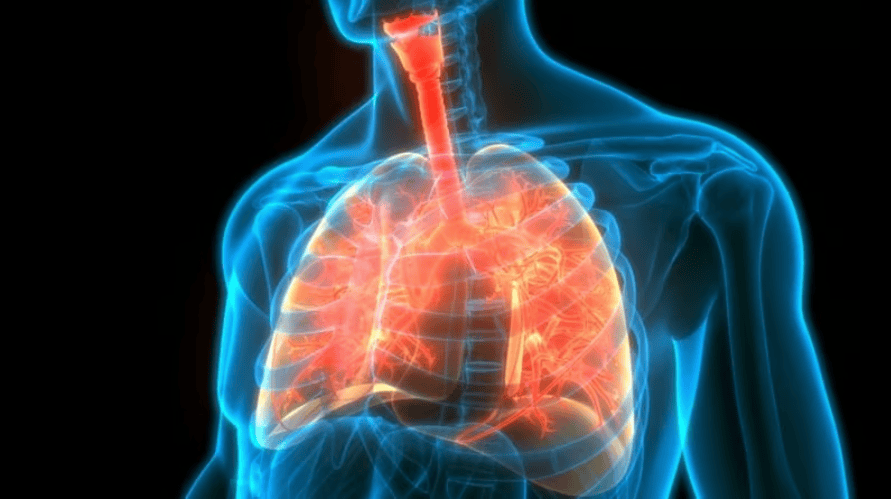 FDA grants first clearance to AI program for diagnosing idiopathic ...