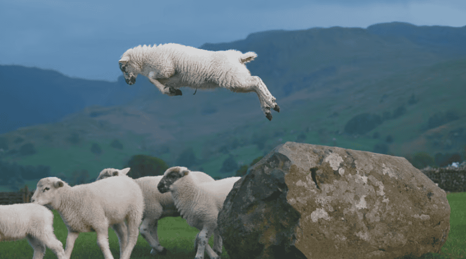 Boundless Bio bumps IPO market back to life after sleepy few weeks ...