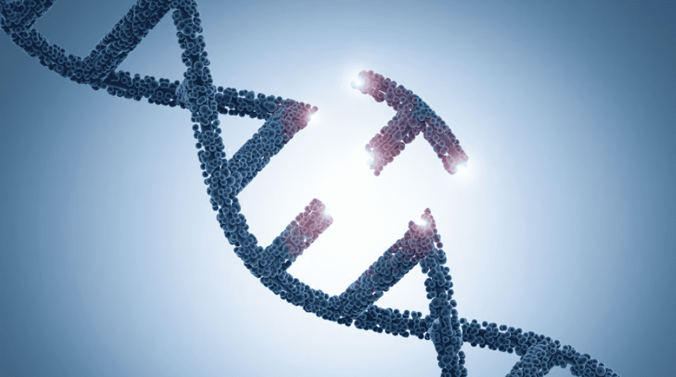 Former bluebird execs hope to fly new startup to 'cutting edge' of gene ...