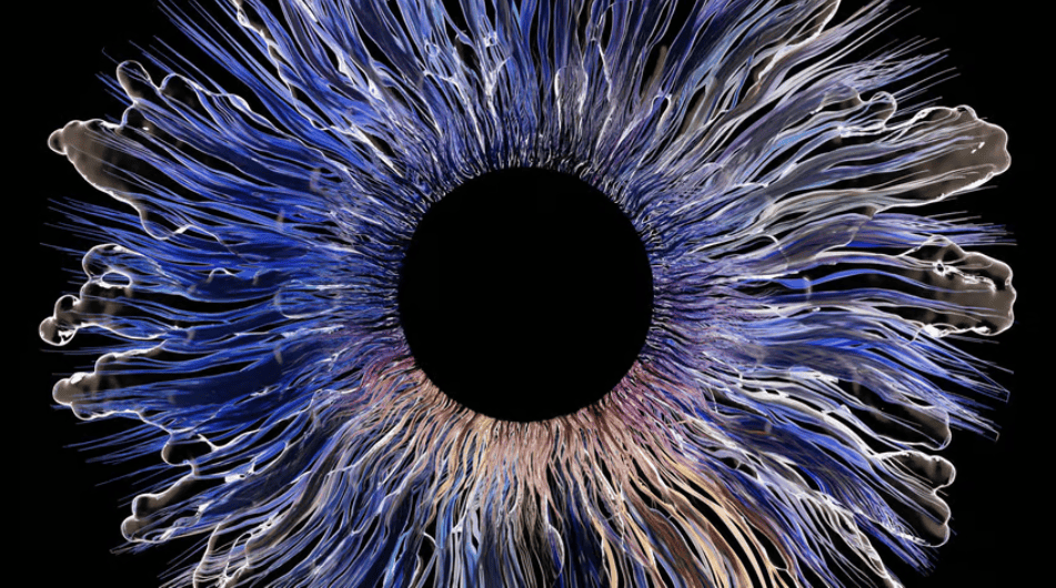 Innovent's anti-VEGF drug matches Eylea in phase 2 eye disease trial ...