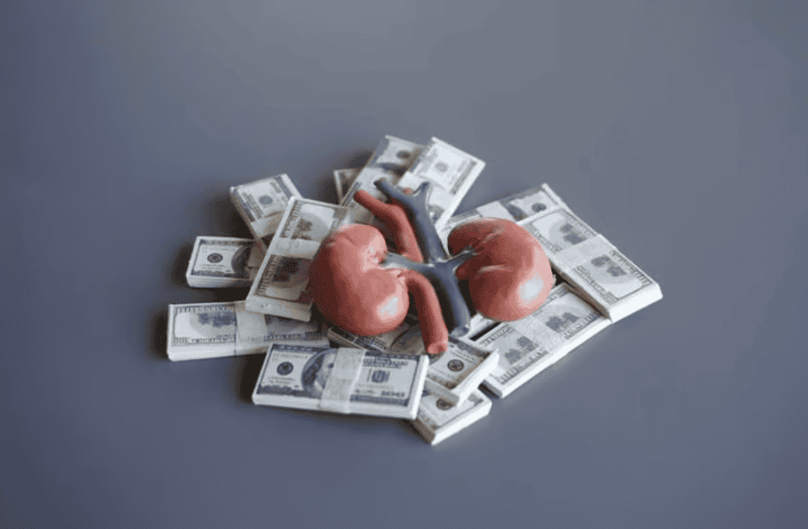 Pathalys raises $105M series B to prepare Japan-approved kidney disease ...