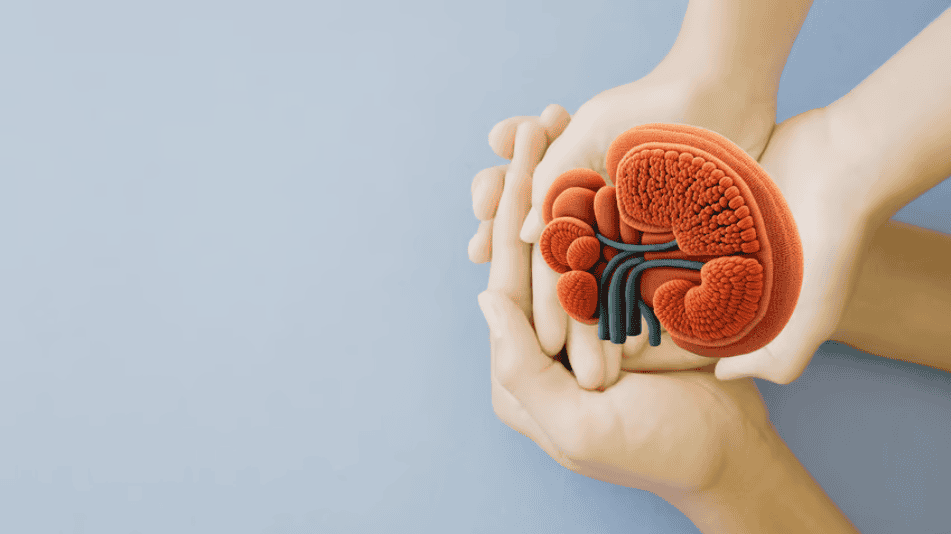 ProKidney halts one CKD cell therapy phase 3 trial considered surplus ...