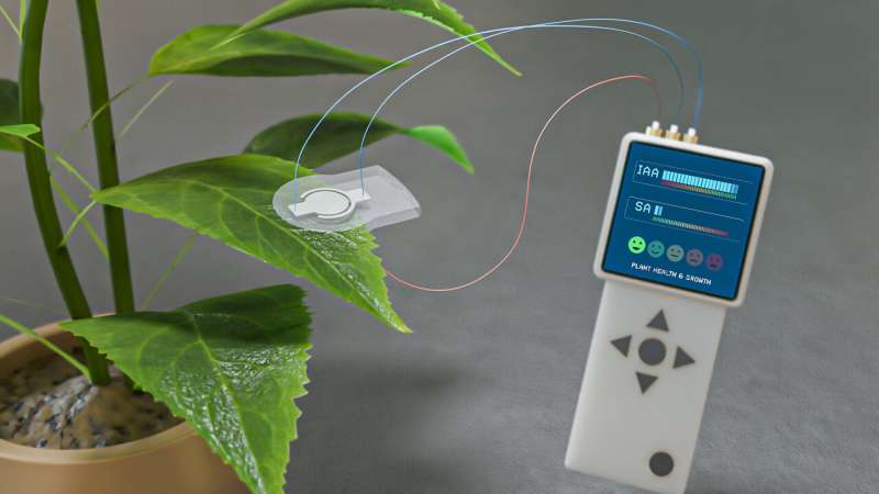 Minimally invasive sensor can detect stress to keep plants safe ...