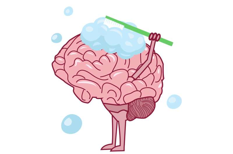 How 'brain cleaning' while we sleep may lower our risk of dementia ...