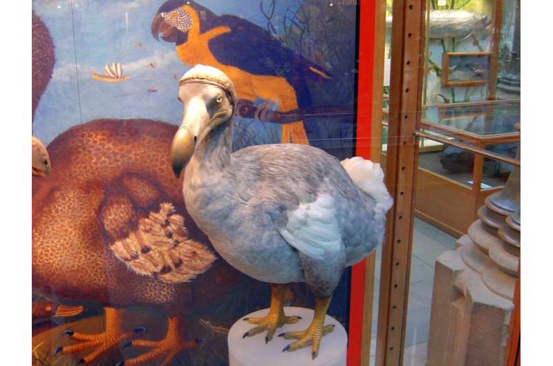 Resurrection of dodo bird now one step closer, claims Colossal ...