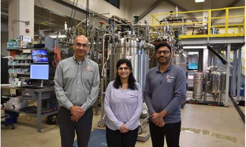 Pretreatment methods bring second-gen biofuels from oilcane closer to ...