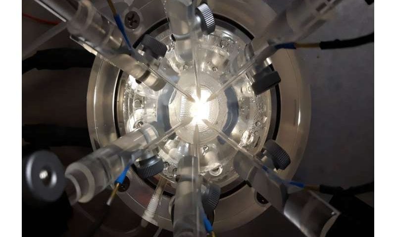 Naturally occurring molecule shown to restore memory function in ...