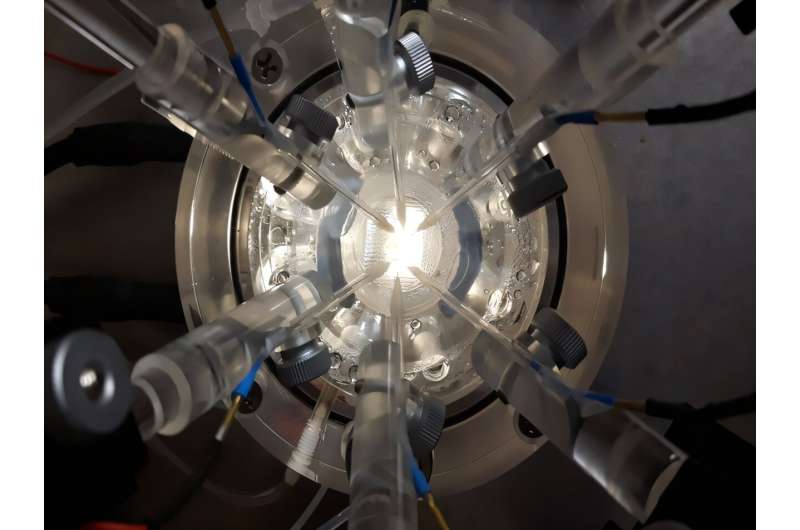 Naturally occurring molecule shown to restore memory function in ...