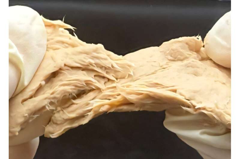 Genetically engineered fungi are protein-packed, sustainable, and taste similar to meat ...