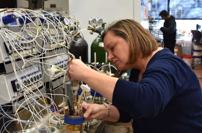 Commercially viable biomanufacturing: Designer yeast turns sugar into ...