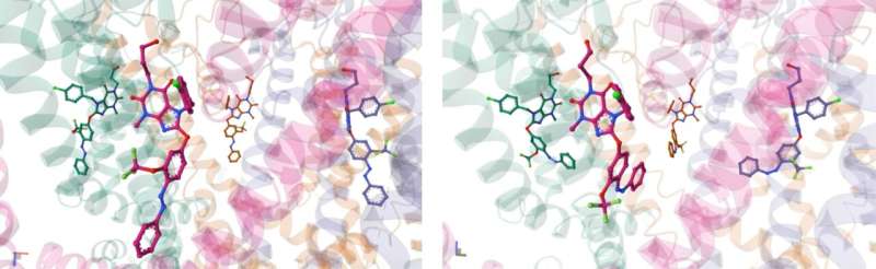 Light-controlled switches offer precise regulation of ion channels in ...