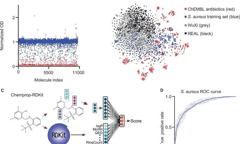 AI model designs new antibiotic for staph infections after exploring 46 ...